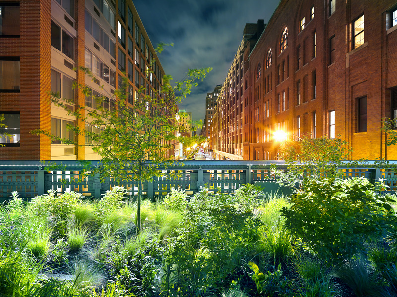 The High Line | The High Line | Projects | Oliver Heinemann ...