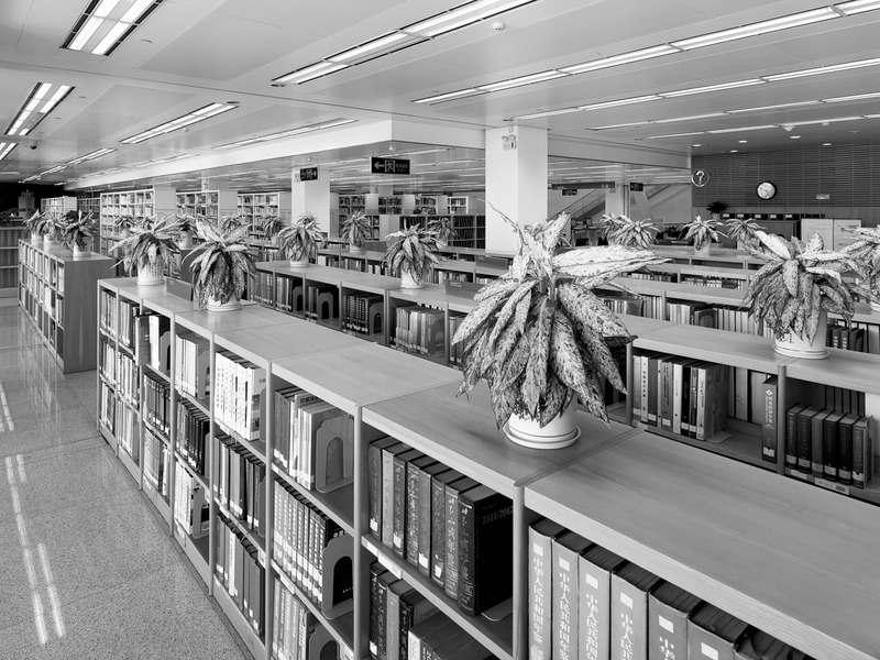 Shenzhen Library | Shenzhen Library | Architecture | Oliver Heinemann ...